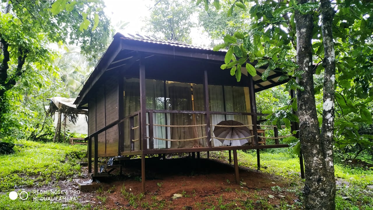 NV ECO FARM, GOA
